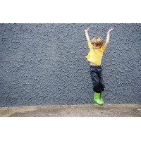 The Five Senses and Motor Integration